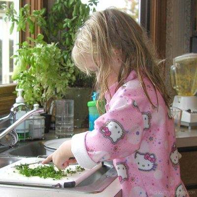 Crash Course Cooking: Unveiling Our New Learn-to-Cook Series - Two ...