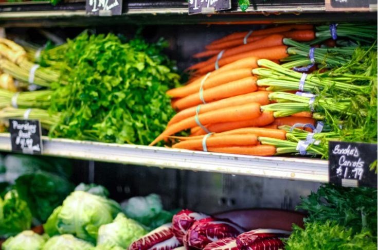 Once-a-Month Grocery Shopping: The 4-Tier, Stock-Up Plan for Healthy ...
