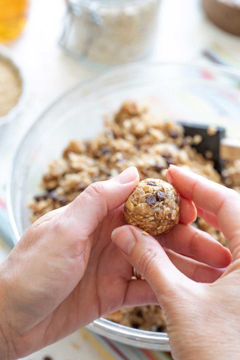 Quick and Healthy Snack Bites